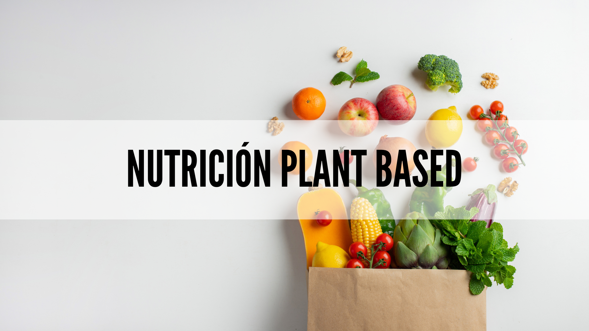 Necesidades Nutricionales De Las Plantas Vegetales